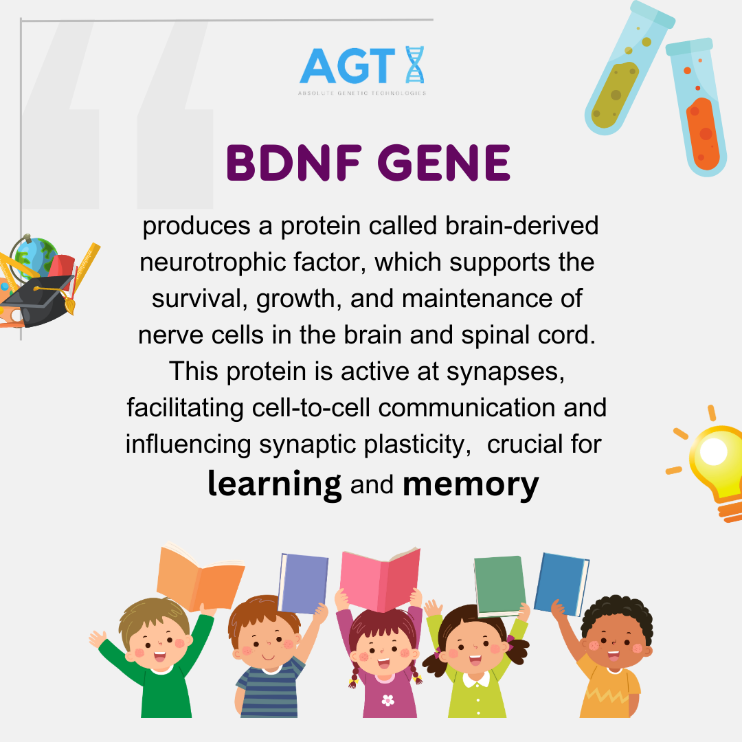 AGT - Absolute Genetic Technologies | leading Child DNA Test in Malaysia